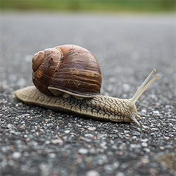 Hij wil rustig aan doen: 9 Tips + De ongemakkelijke waarheid